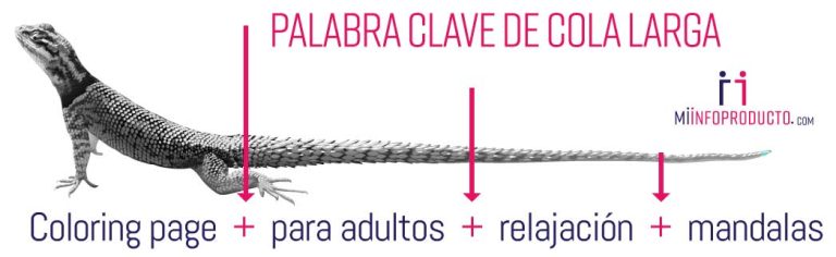 Pasos para encontrar un nicho en Amazon KDP